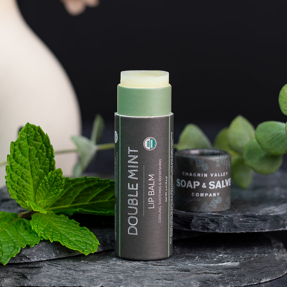 Lip Balm: Doublemint Stick – Chagrin Valley Soap & Salve
