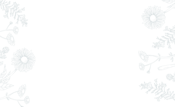 Bundle Builder – Chagrin Valley Soap & Salve