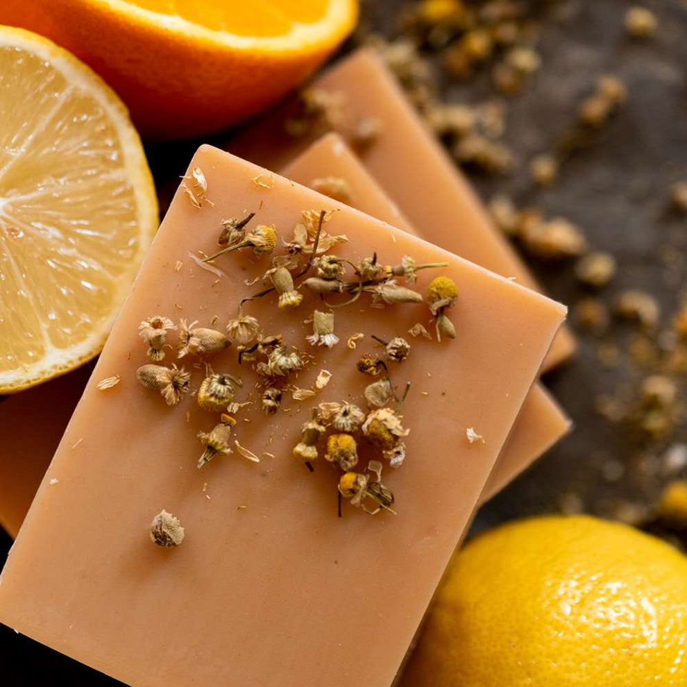 Shampoo Bars - Organic & Natural - Chagrin Valley Soap and Salve ...