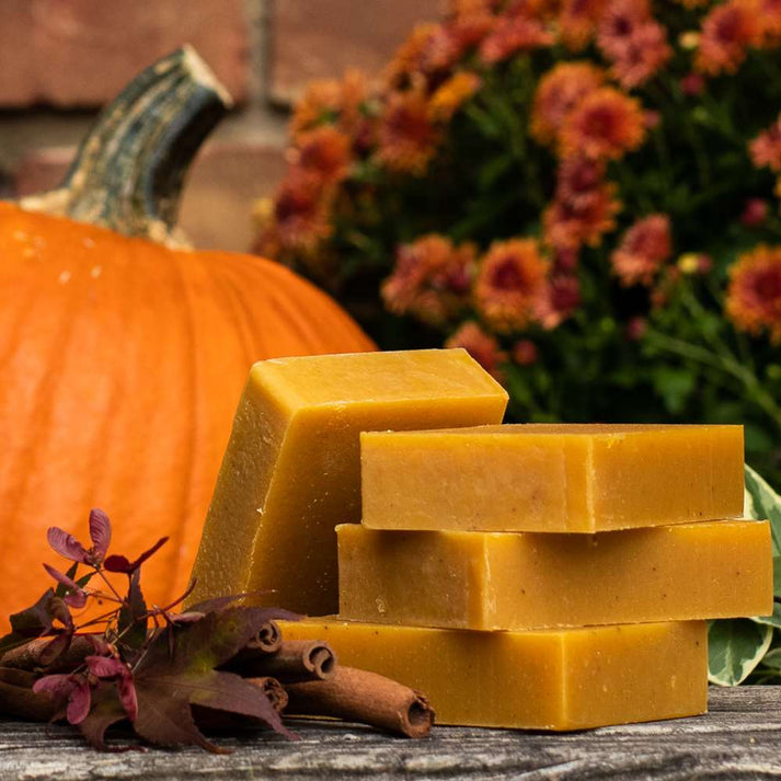 Natural Soap: Pumpkin Spice – Chagrin Valley Soap & Salve